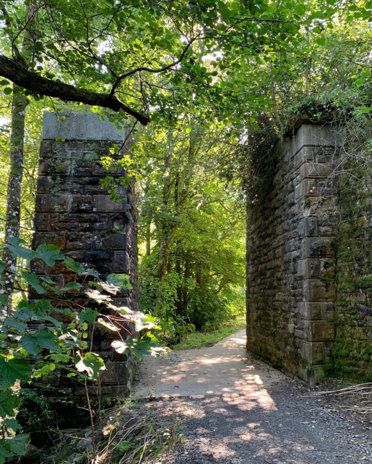 Lady Mary's Walk set for major Crieff paths upgrade