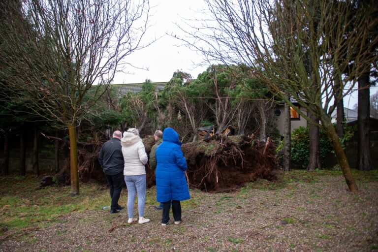 Storm Gerrit: Trees crash into row of houses in Dundee