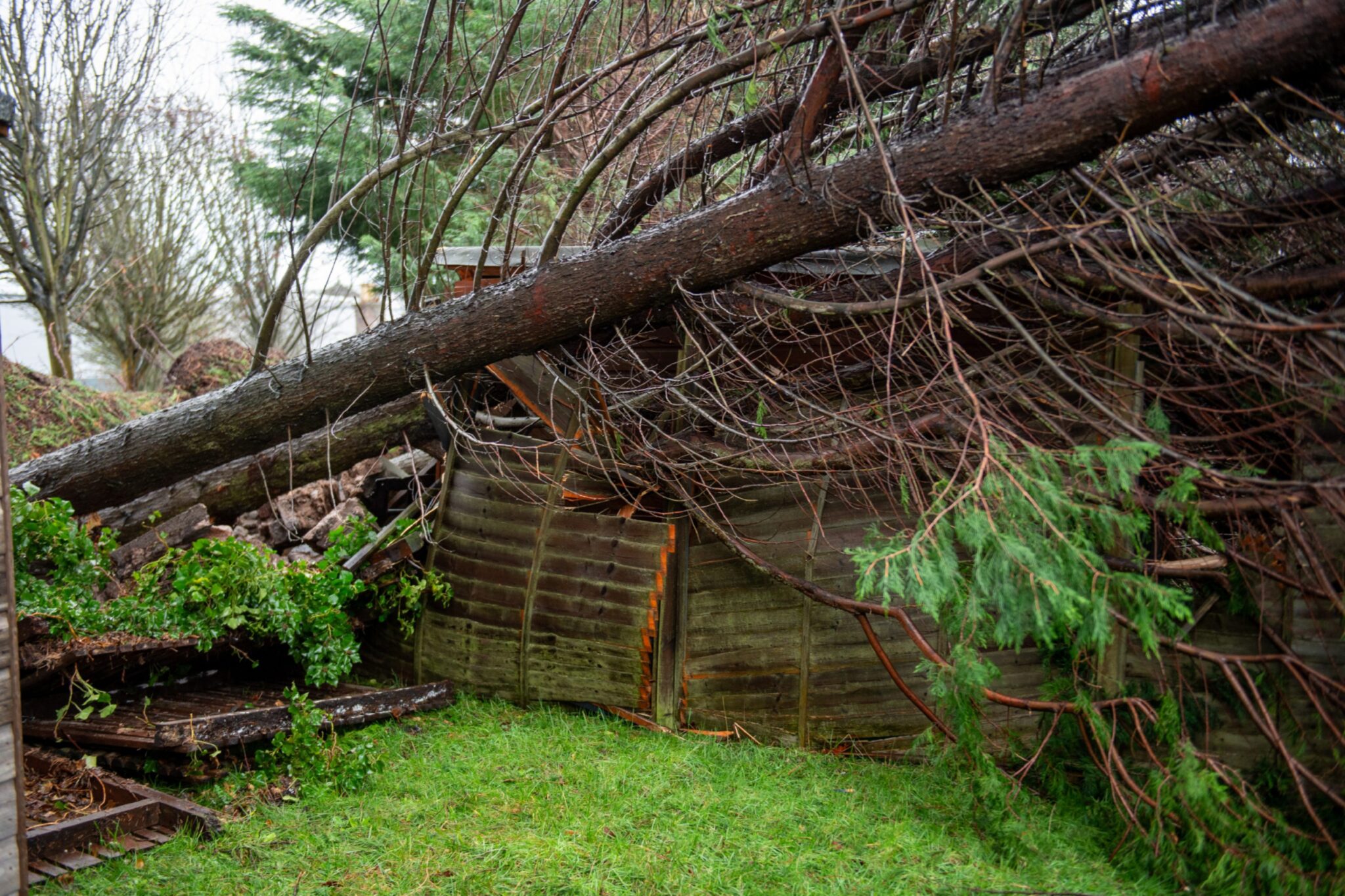Storm Gerrit: Trees crash into row of houses in Dundee