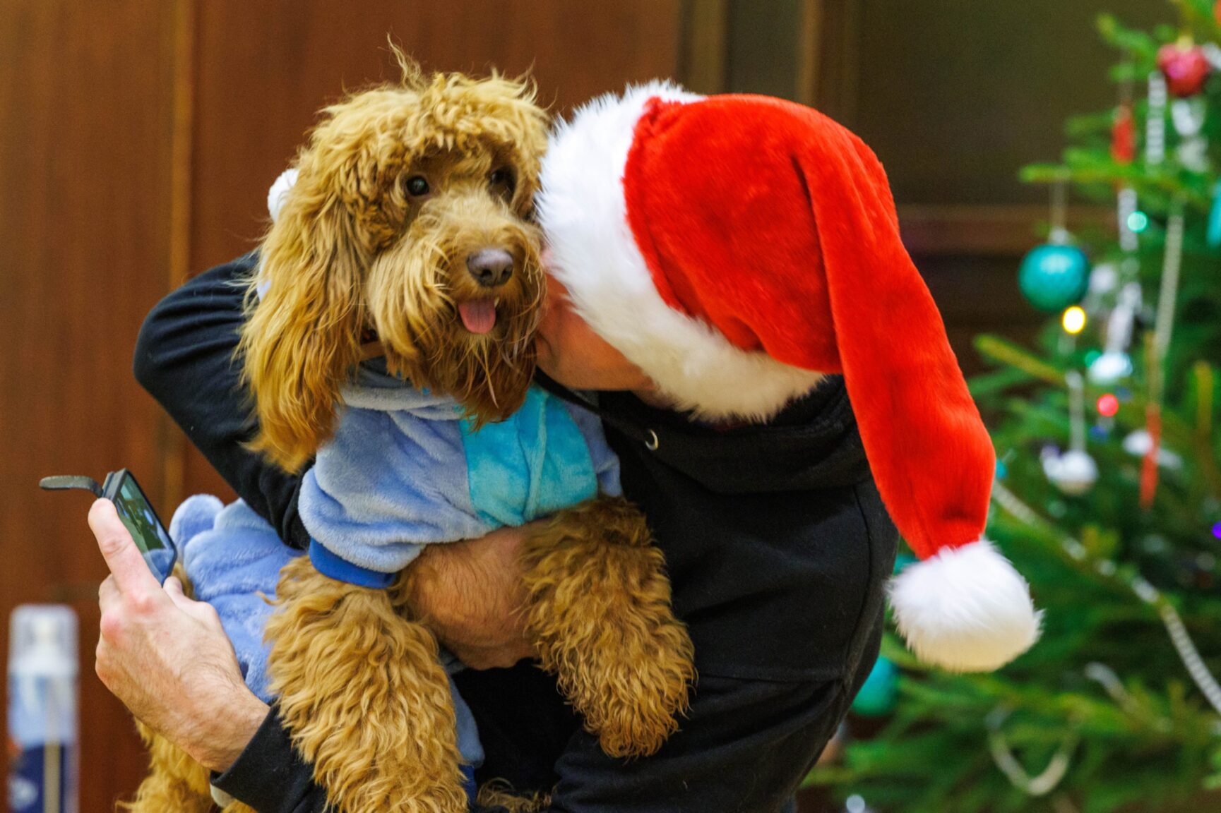 Party Like A Cockapoo: Meet Fife dog lovers behind phenomenon