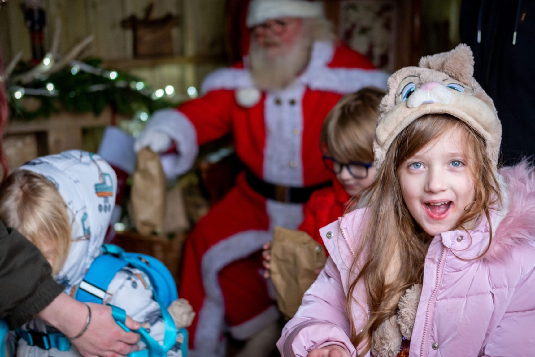 Fife Deer Centre Christmas grotto with naughty or nice ending