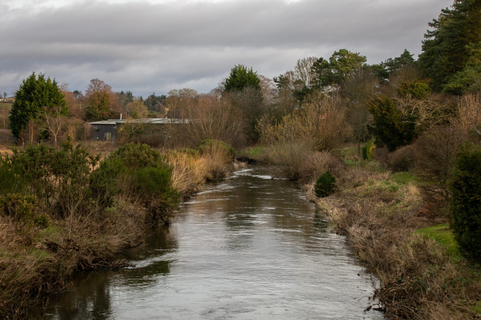 Could Cupar floods be reduced by better River Eden management?