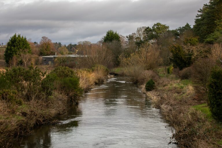 Could Cupar floods be reduced by better River Eden management?