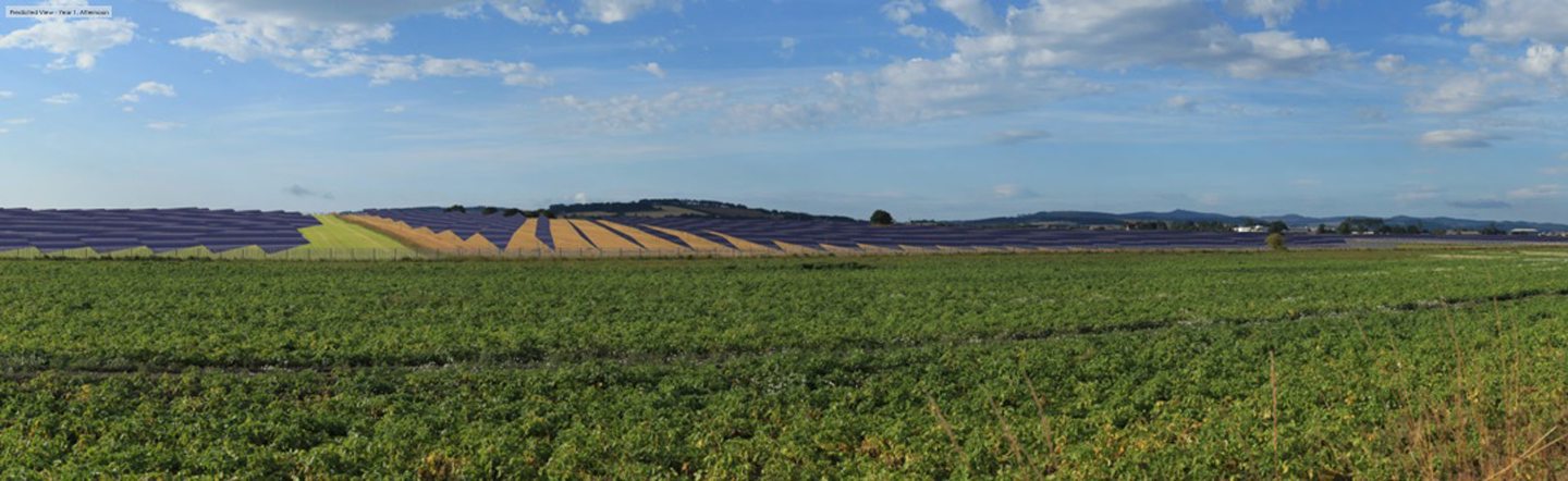 29MW Forfar solar farm set for approval despite 110 objections