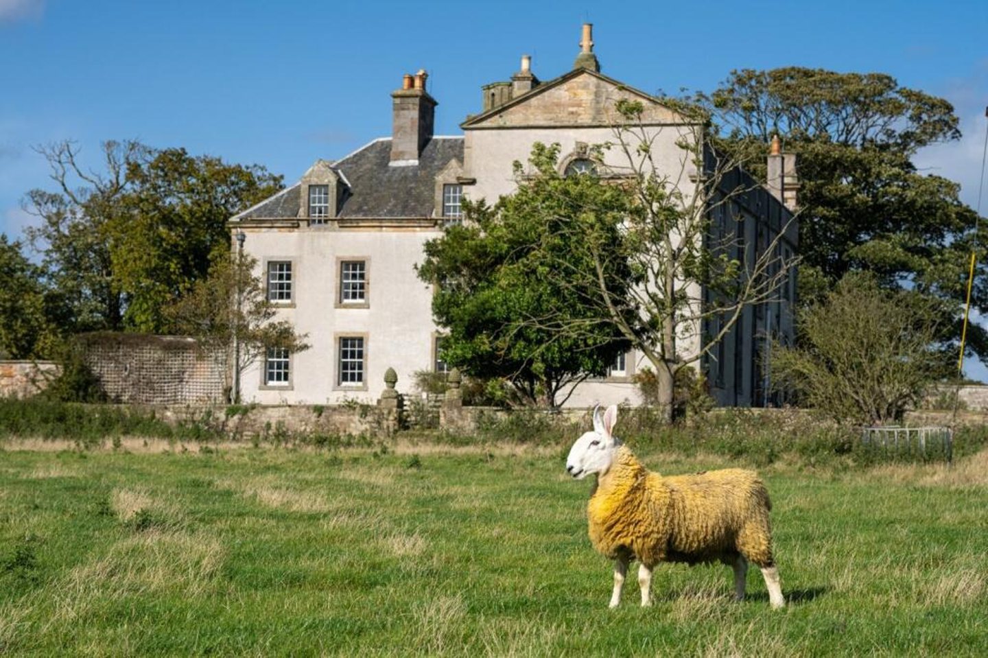 For Sale: £1.8m Fife country mansion with 35 acres of land