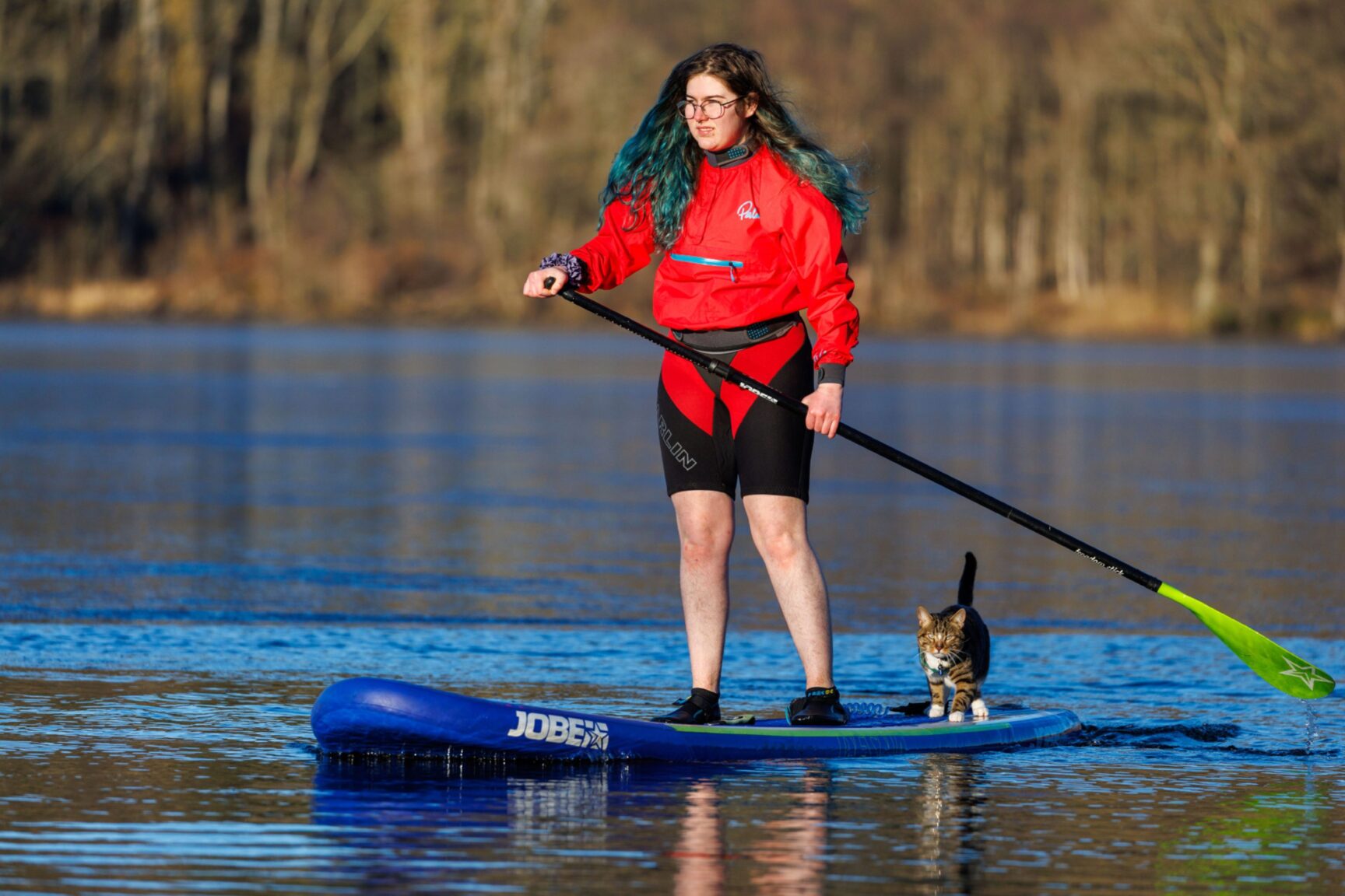 Meet Dundee's paddle-boarding 'adventure cats' Bongo and Fifi