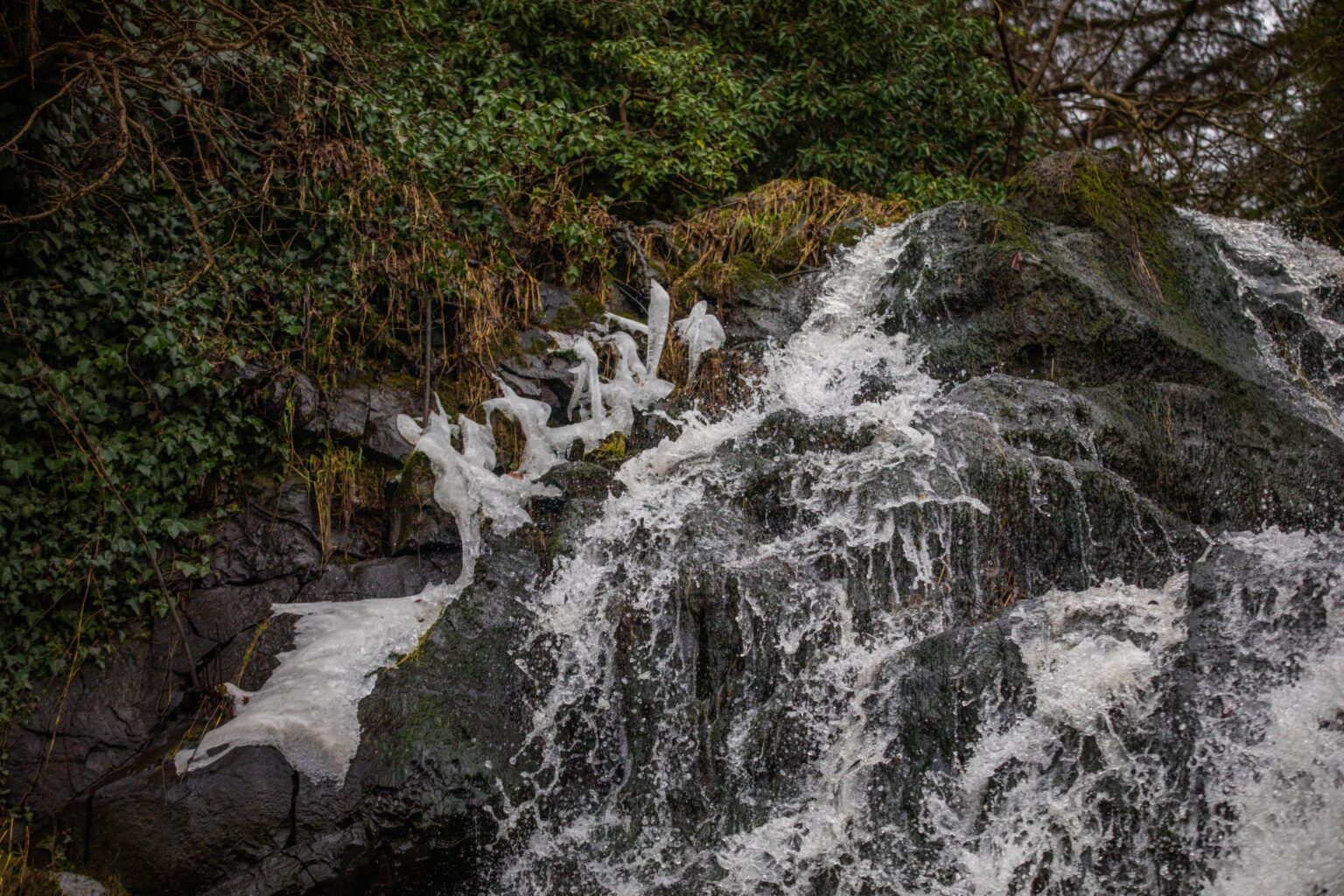 'Hidden' waterfall near Perth city centre becomes tourist attraction