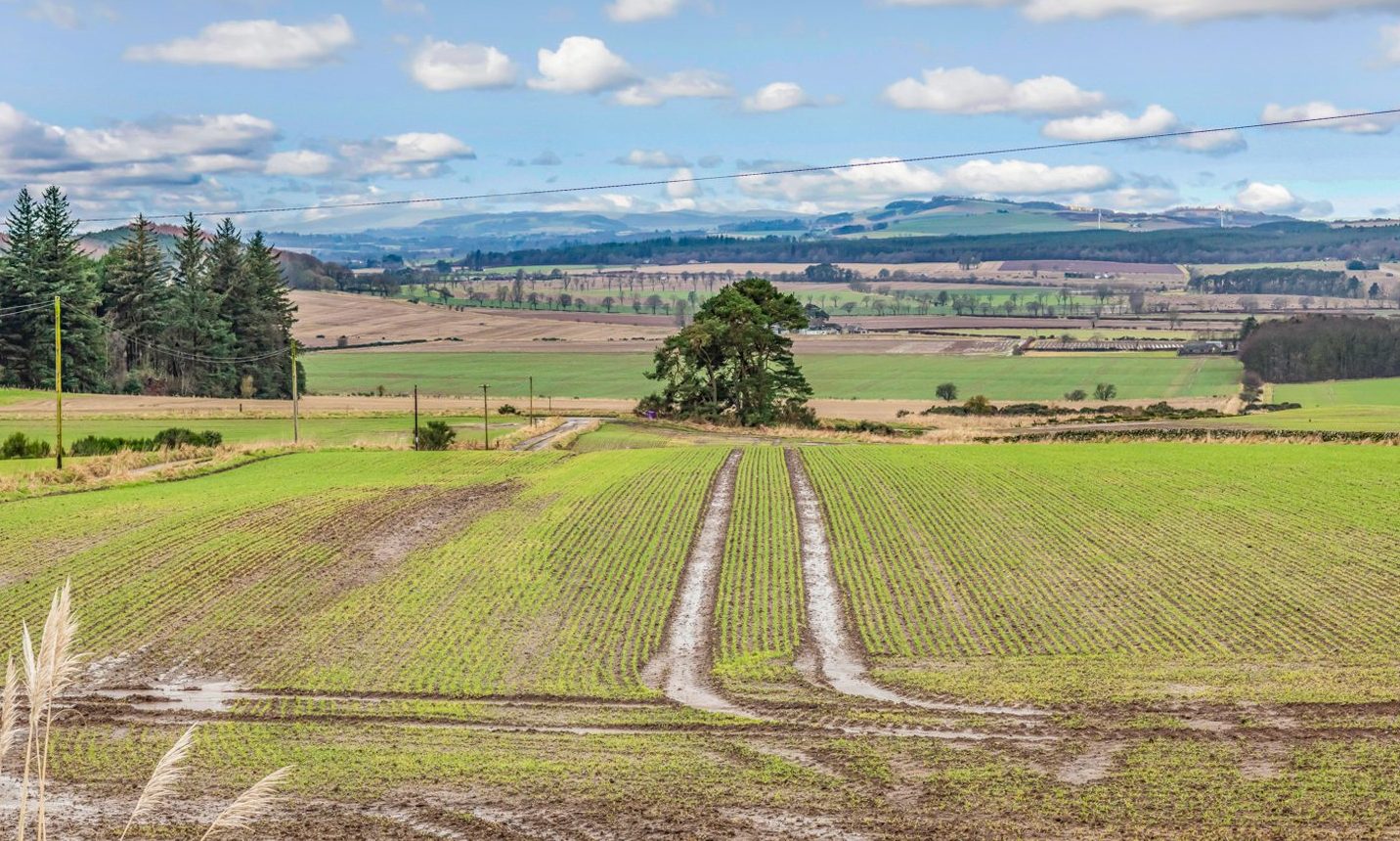 Stunning Angus steading has beautiful backstory