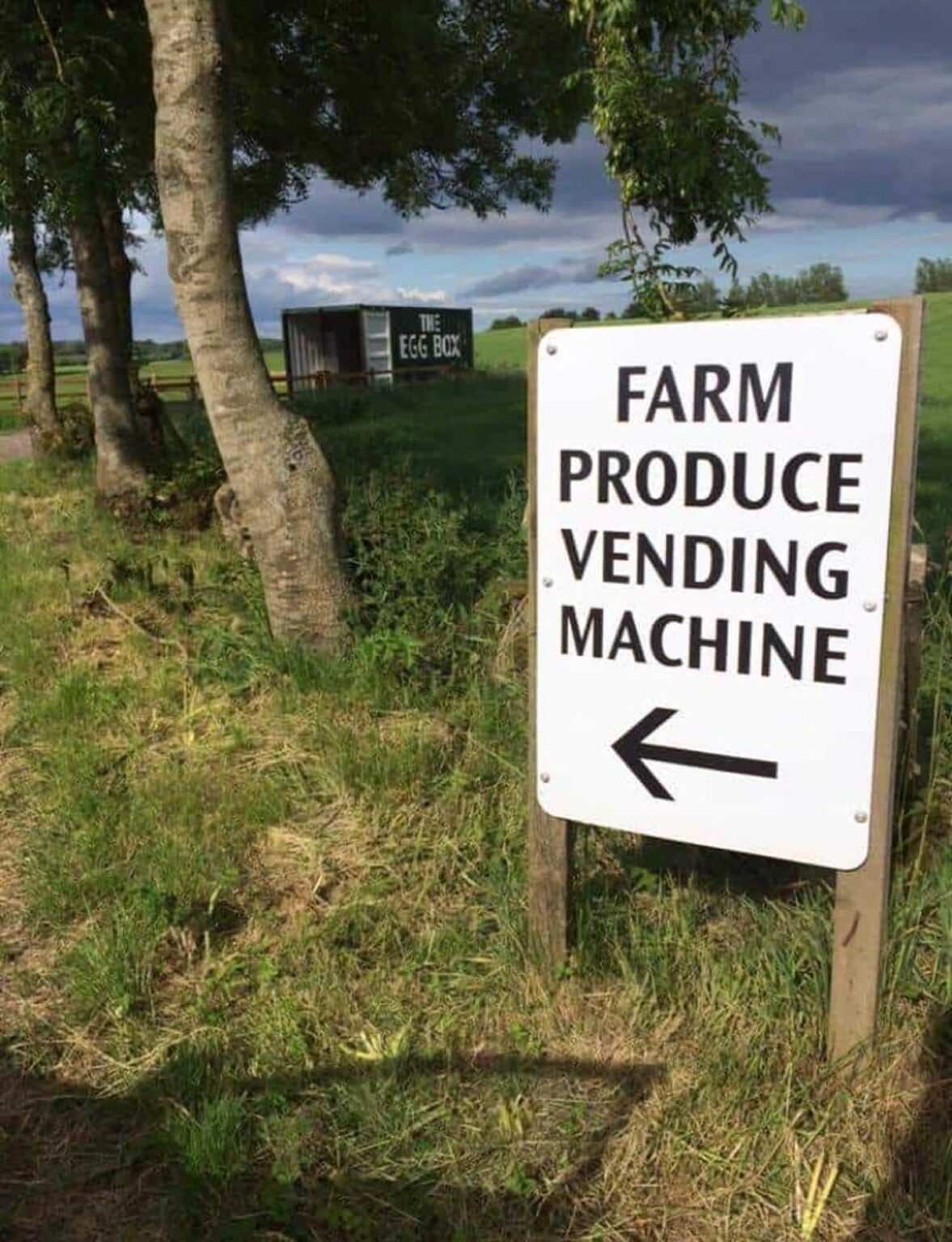 6 of the best Angus farm shops to pick up local produce