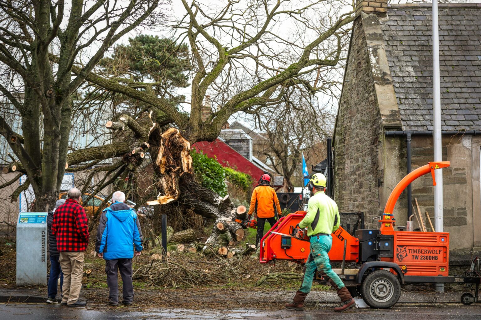 Carnoustie Dibble Tree saved from destruction after Storm Gerrit