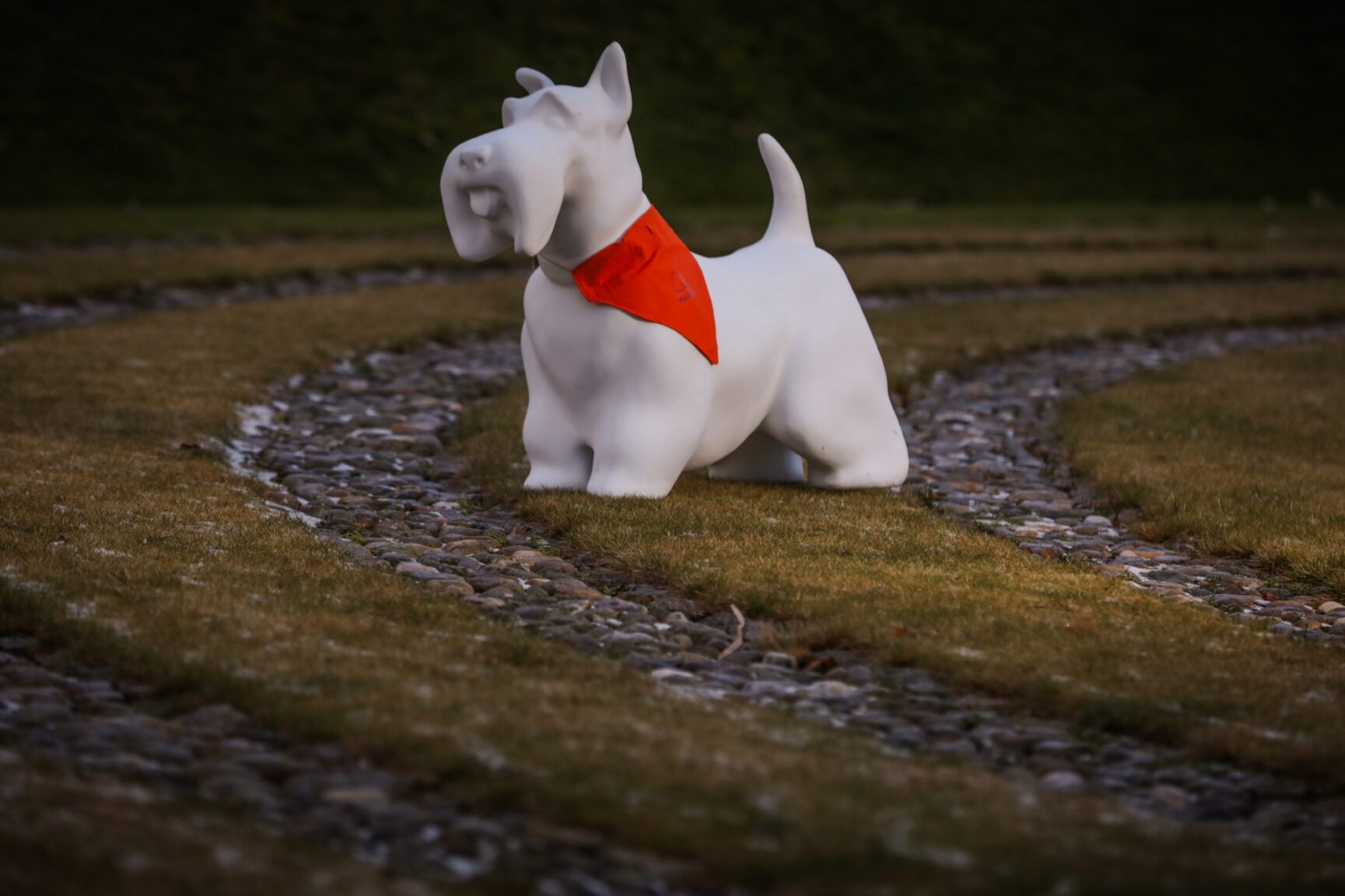 Pittenweem Wee Scottie name chosen by village nursery children