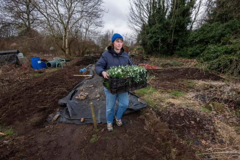 Volunteers are lifeblood of Ninewells Community Garden in Dundee