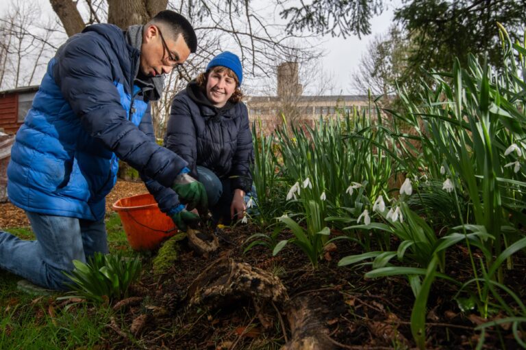 Volunteers are lifeblood of Ninewells Community Garden in Dundee