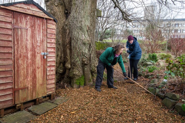 Volunteers are lifeblood of Ninewells Community Garden in Dundee