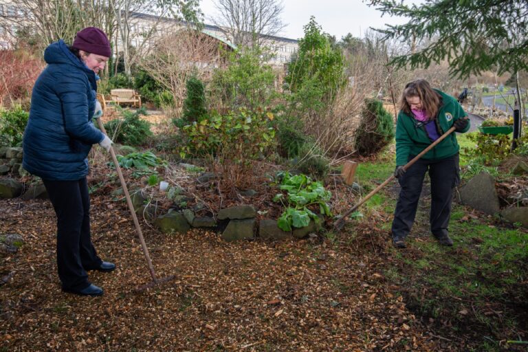 Volunteers are lifeblood of Ninewells Community Garden in Dundee