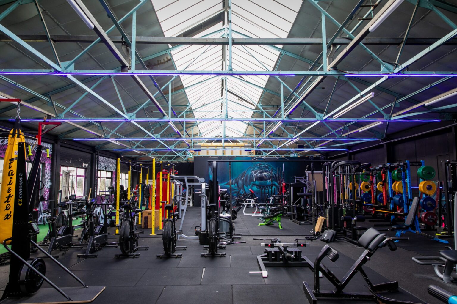 Huge mixed martial arts gym to open in Rosyth
