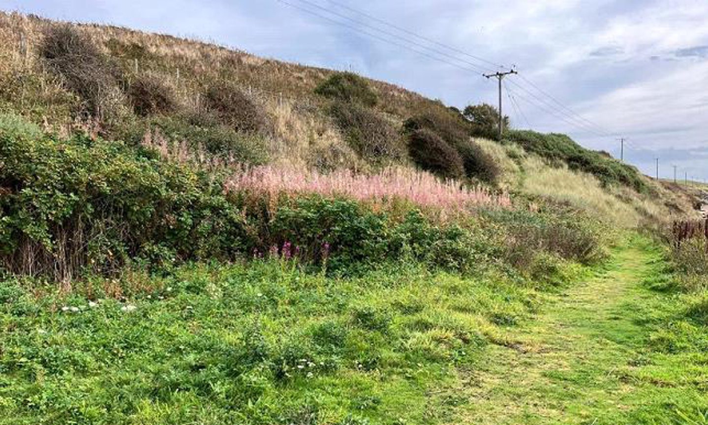 Hopes that Lower Largo 'seaside sauna' can bring tourists to Fife