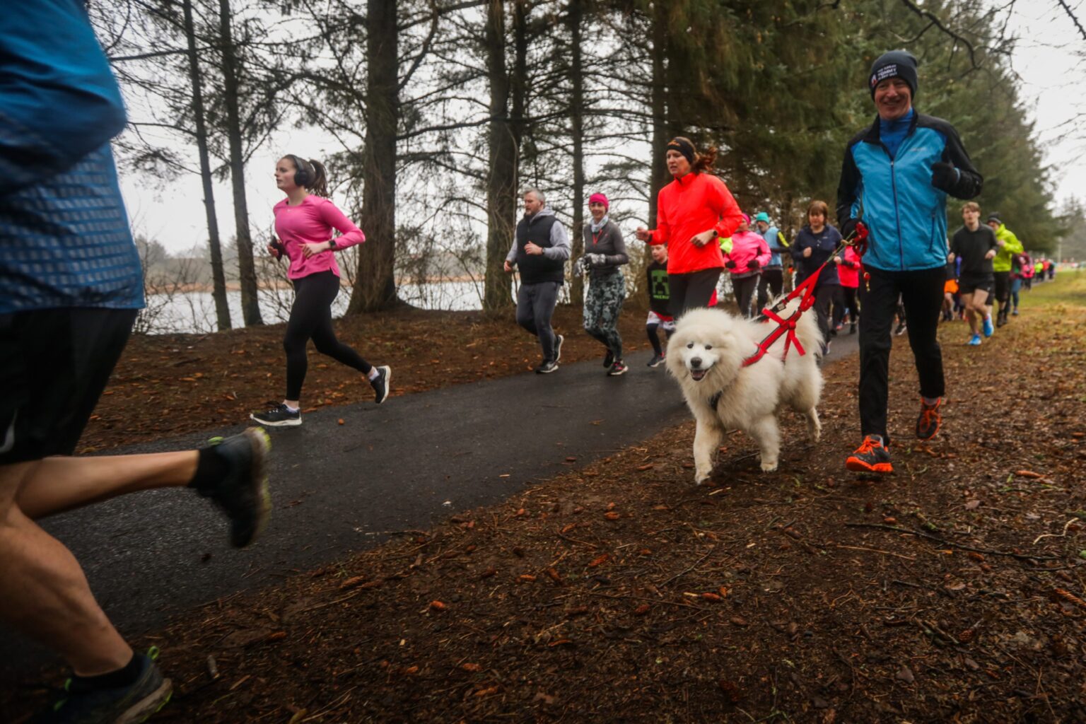 PICTURES: Parkrun fun as Forfar event celebrates 2nd birthday