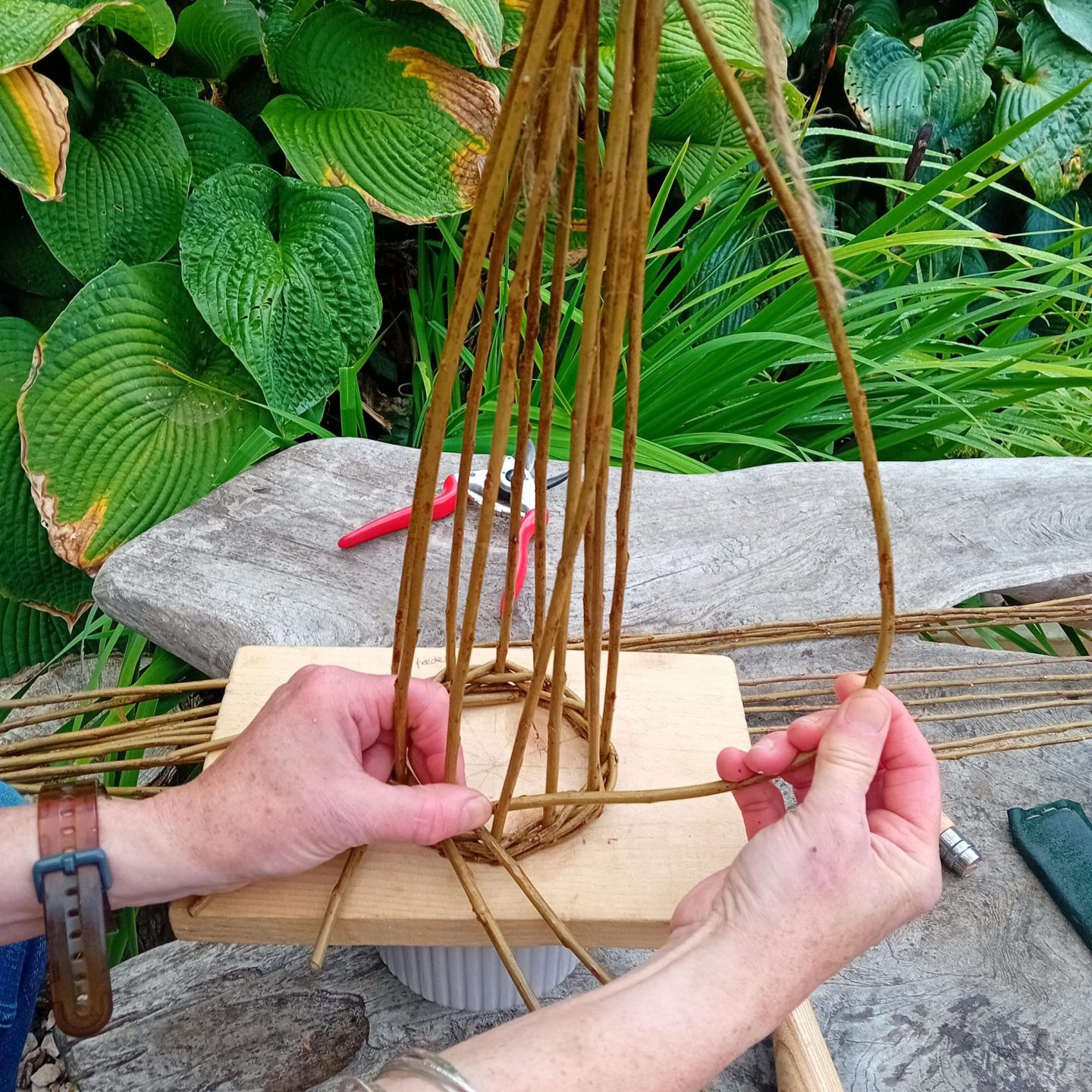 Rachel turned passion for willow weaving into Perthshire business