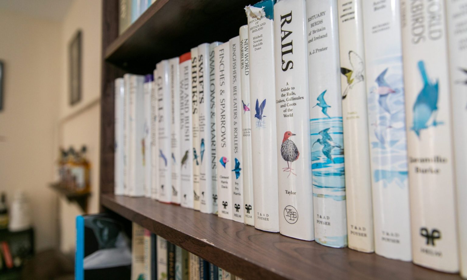 Isle of May wildlife manager David shares his unusual life