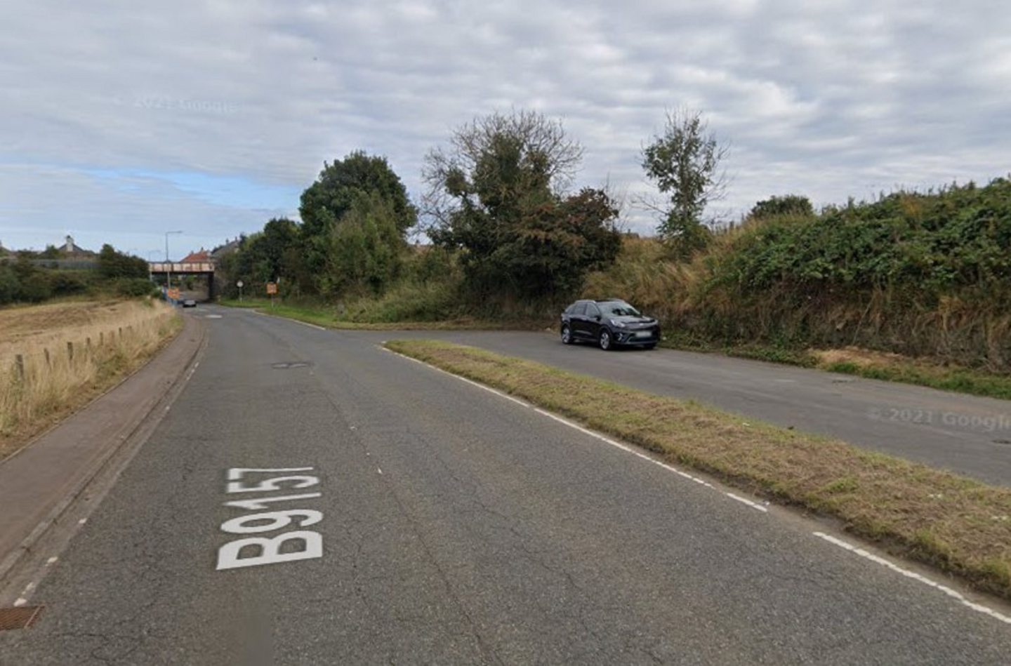 Ferrets dumped in layby on B9157 near Kirkcaldy