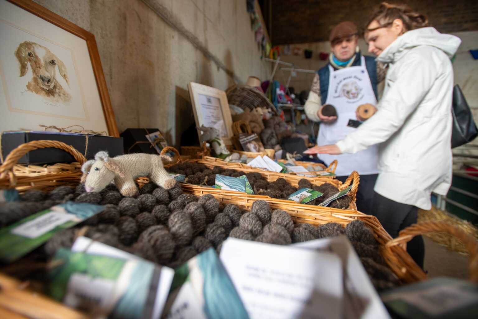 New kids on the block mess around at Angus Goats in Coats event