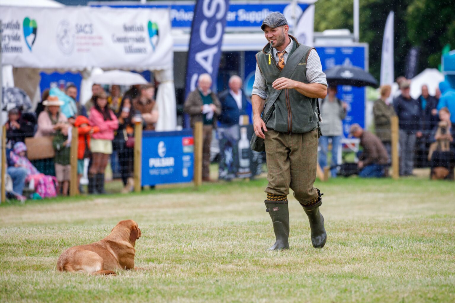 Scottish Game Fair 2025: Tickets, parking and what's on