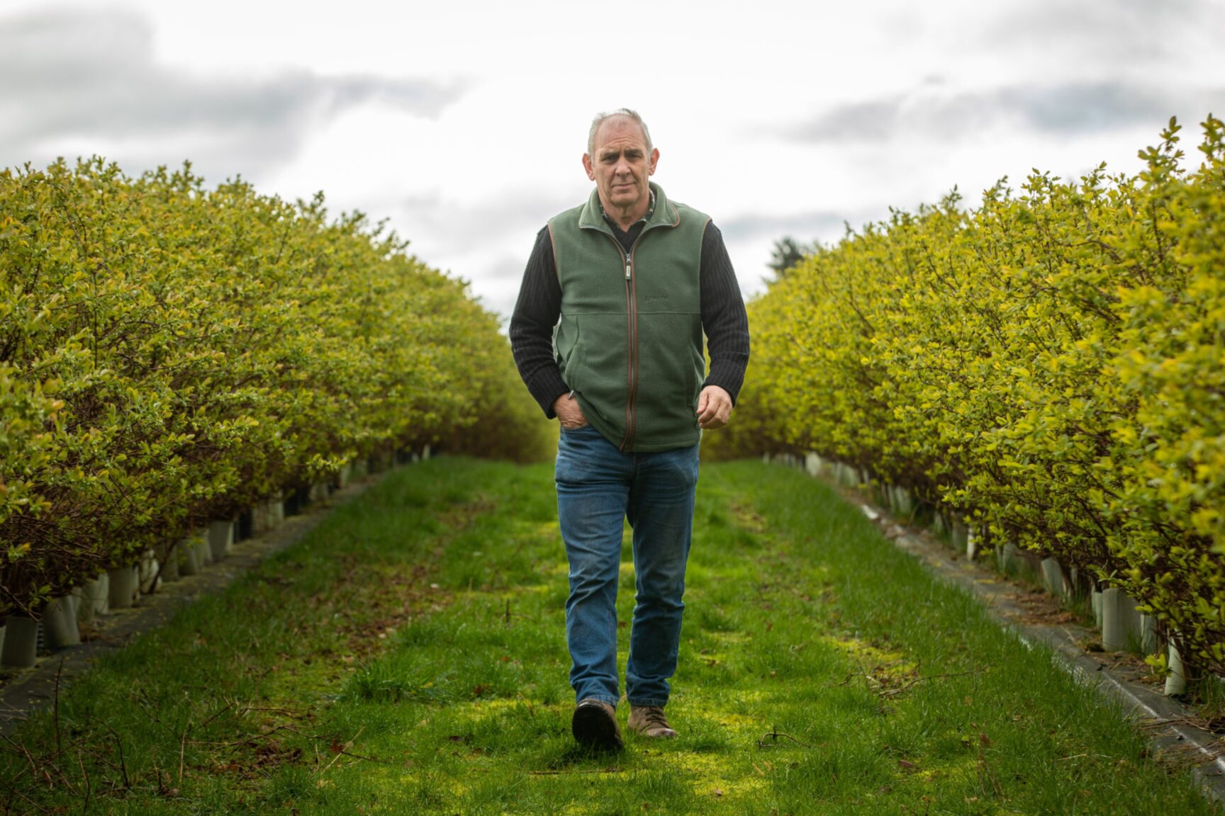 Honeyberries: What's the story behind the Fife 'superfruit'?