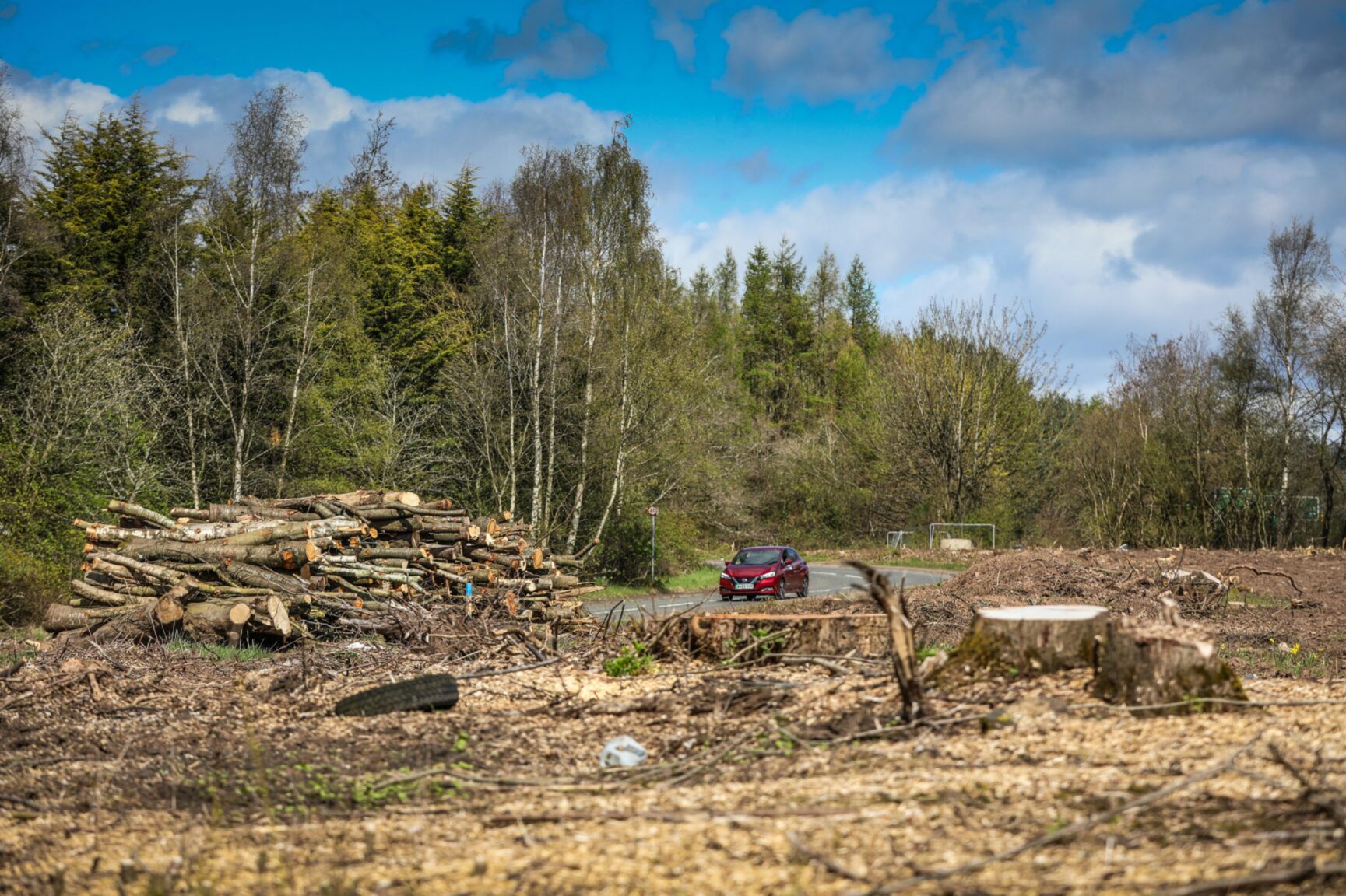 Why have trees been cut down at Dundee's Swallow roundabout?