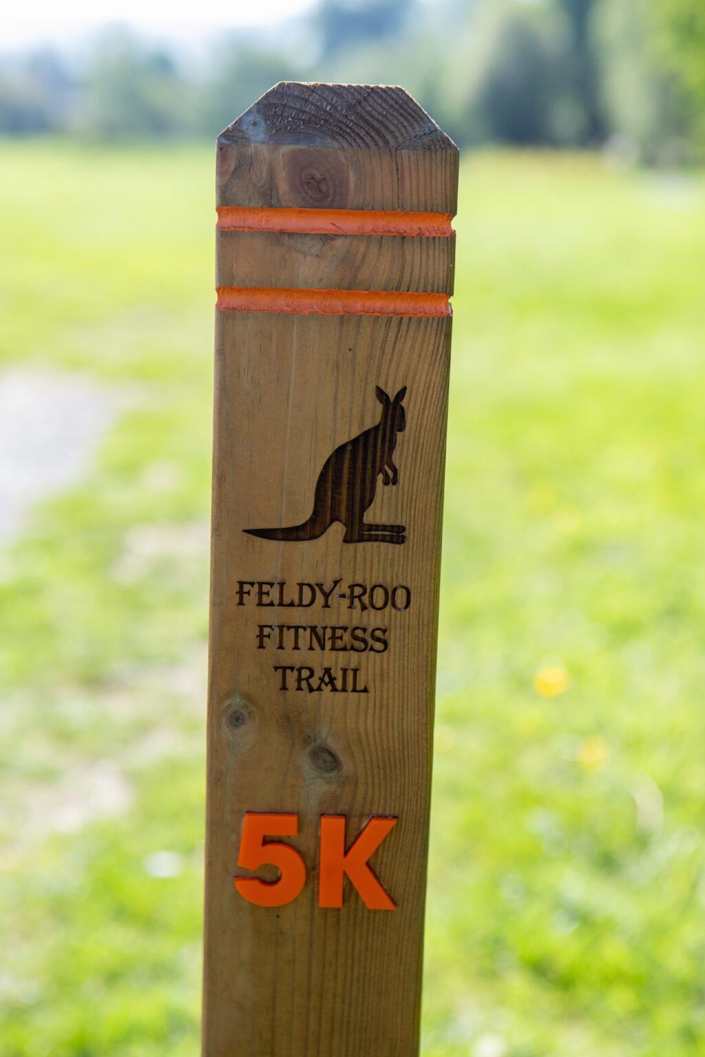 Feldy Roo fitness trail: Best pictures from official opening
