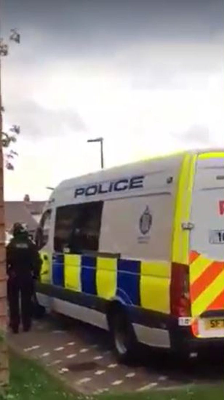 Court orders destruction of 'XL Bullies' after Dundee dog fight