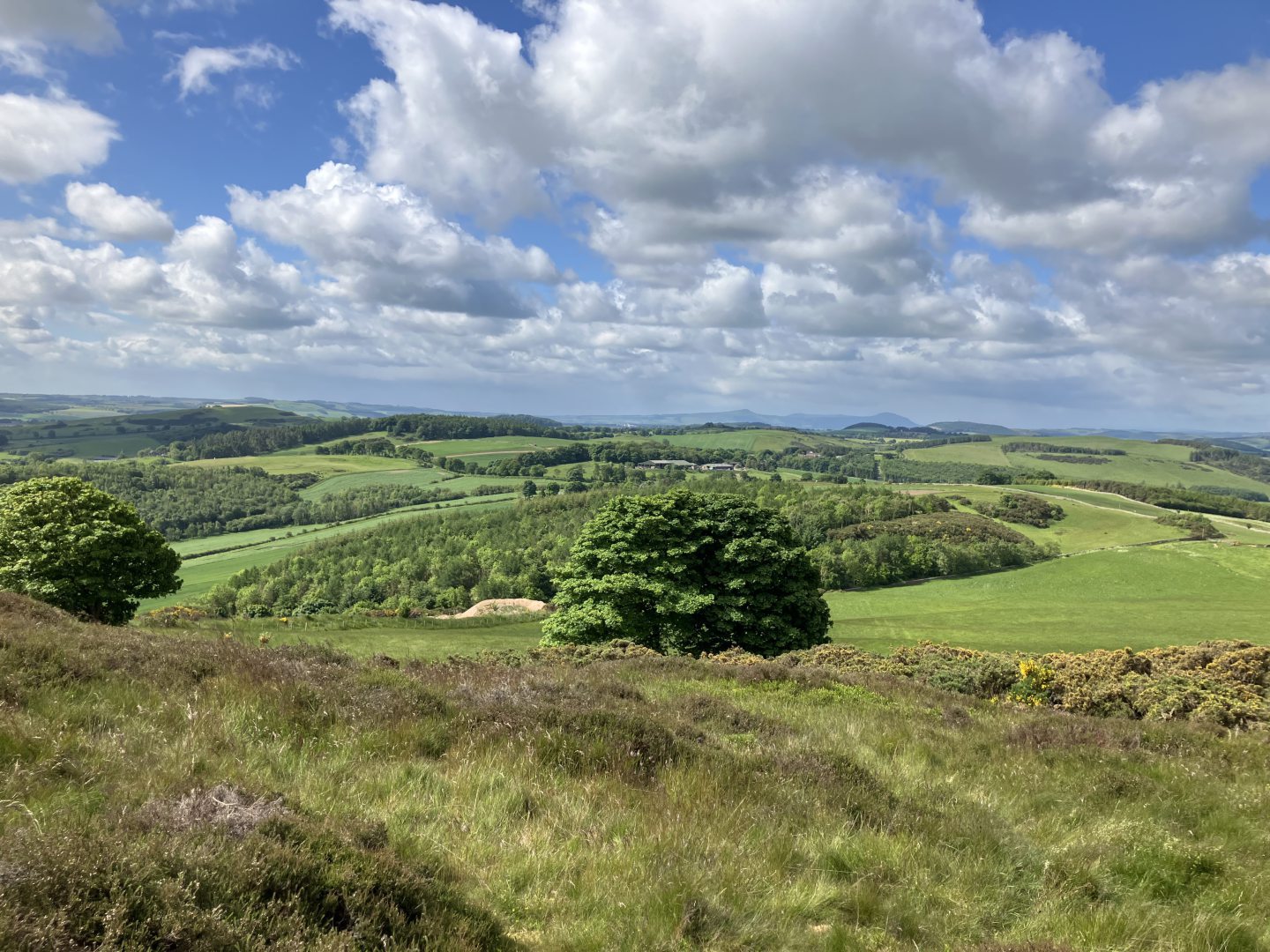 Why are Balmullo residents battling to save Lucklawhill?