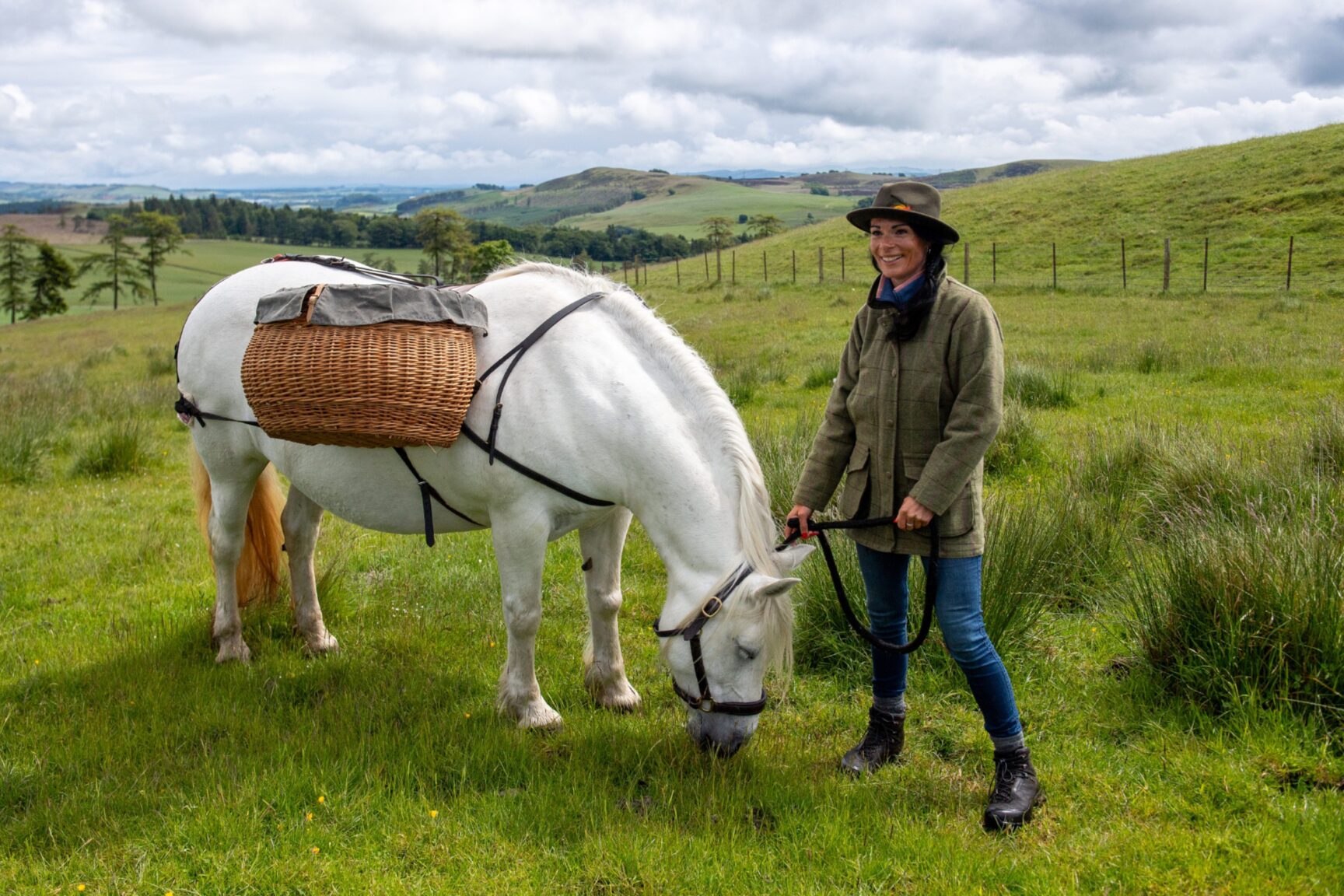 Highland pony walks and picnics launch near Angus glens