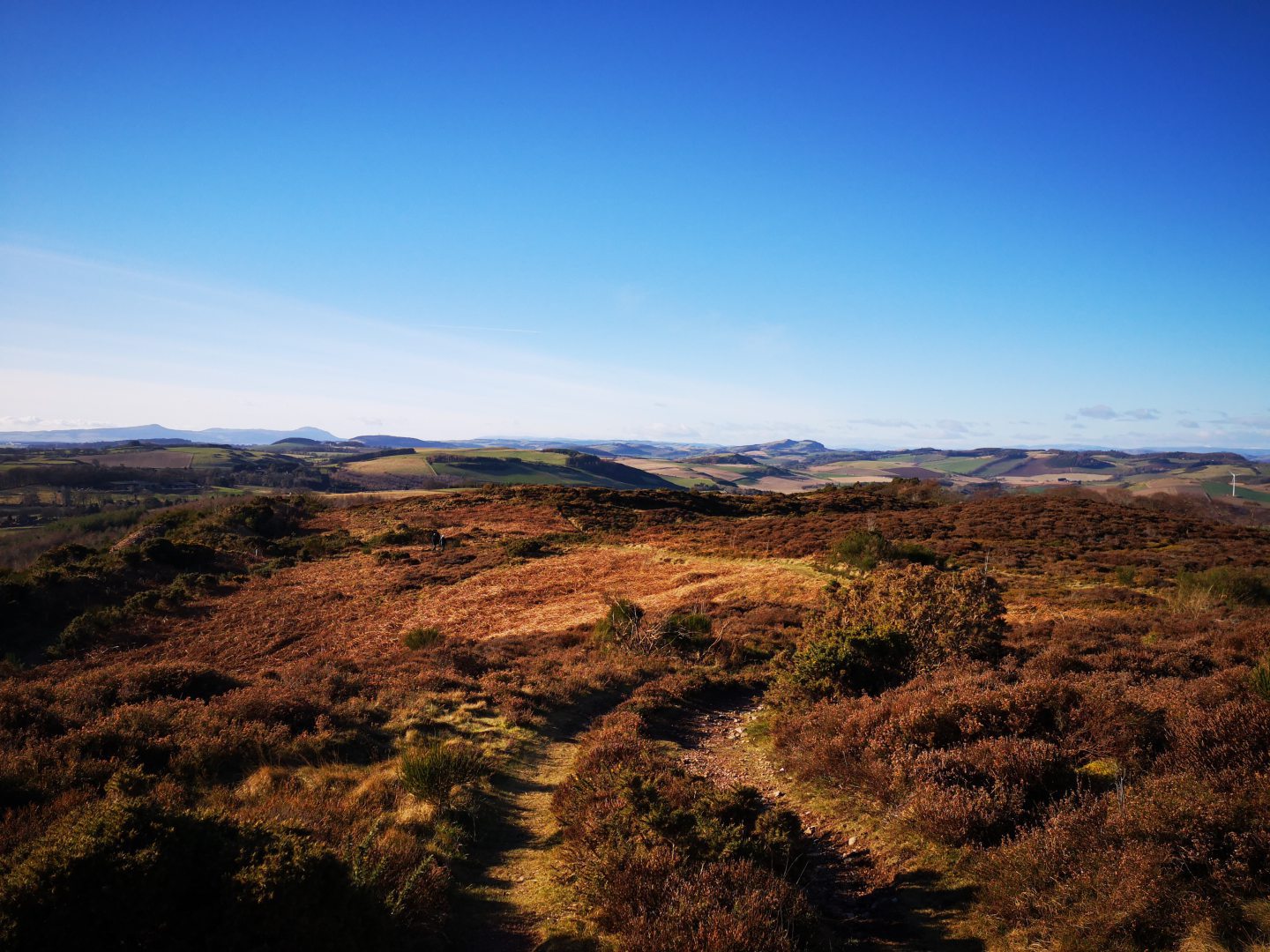 Shock as Balmullo Quarry report redacted by council planners