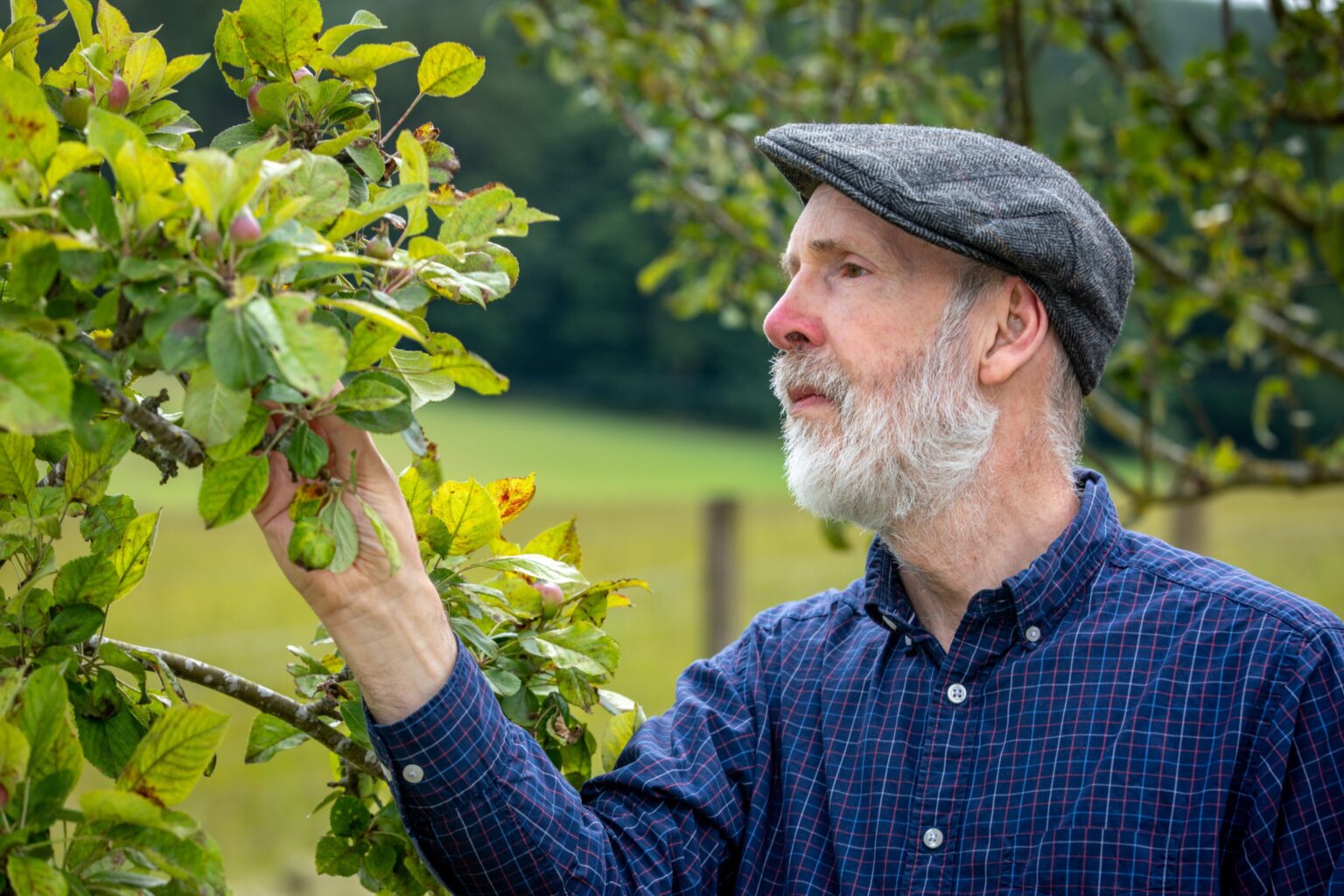 Falkland Estate: Why Ninian Stuart's kids won't inherit it as he did