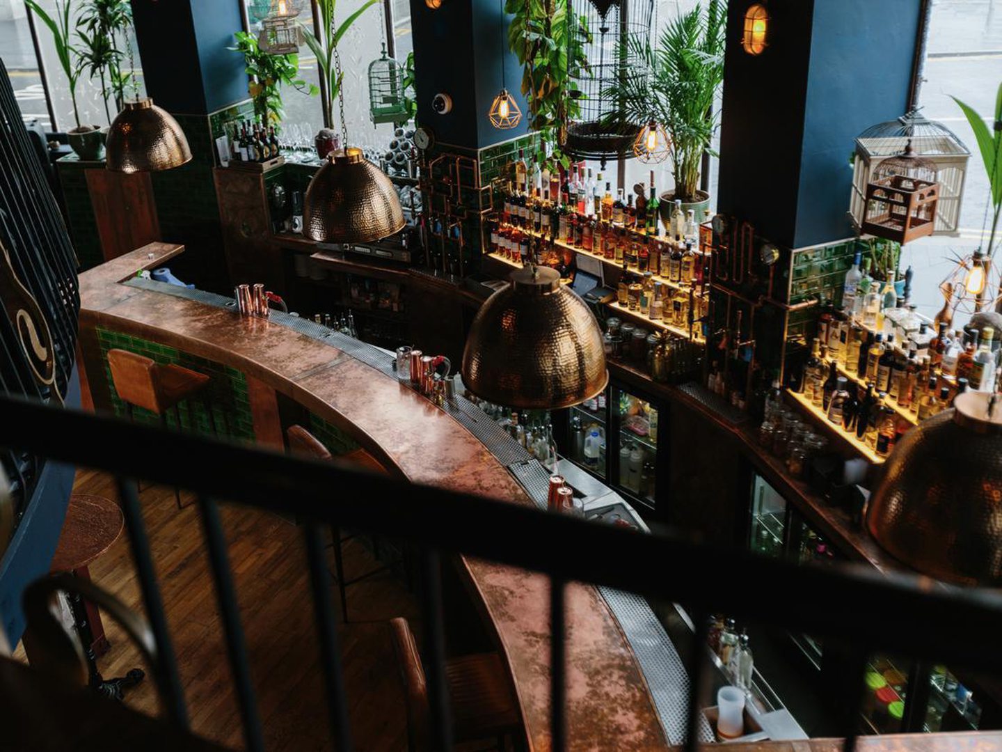 Dundee bars Bird & Bear and Abandon Ship put up for sale