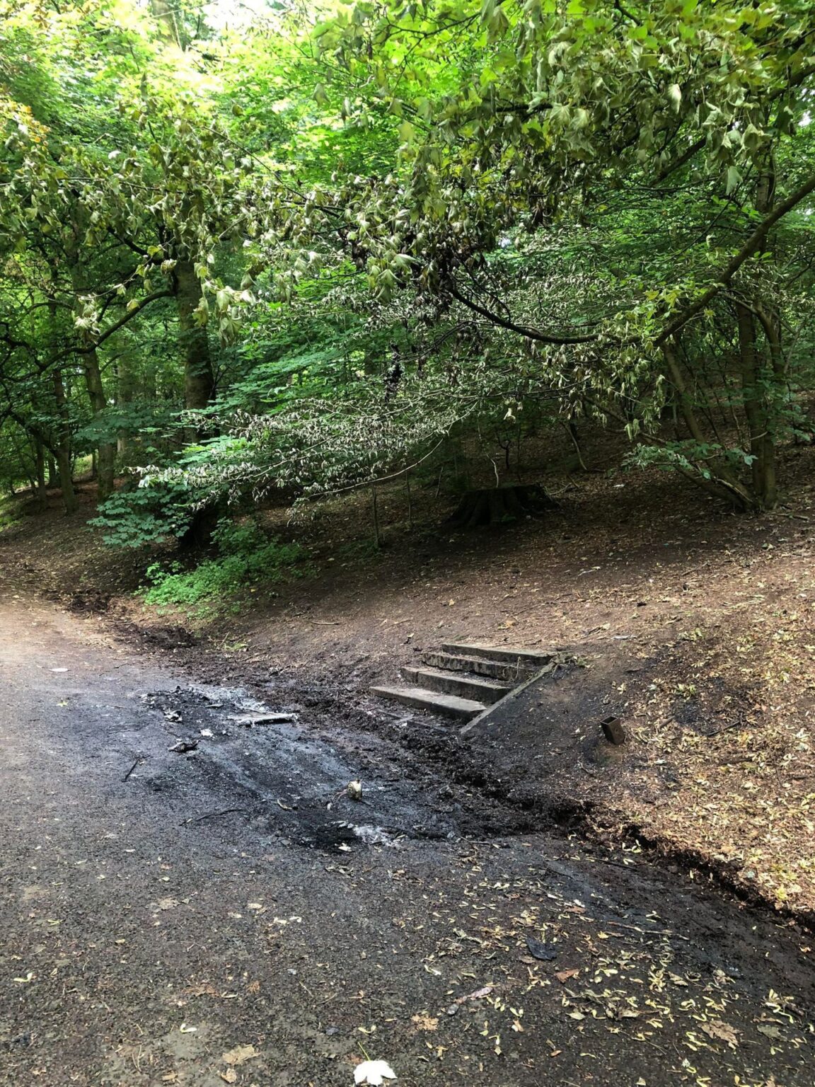 Police probe car fire at Balgay Park in Dundee