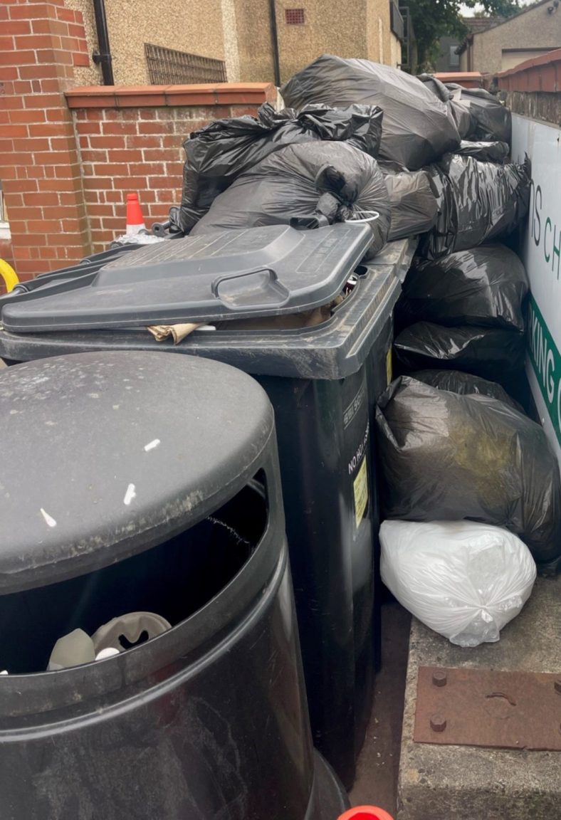 Angus Council slammed over Birkhill rat fears and bin bag advice