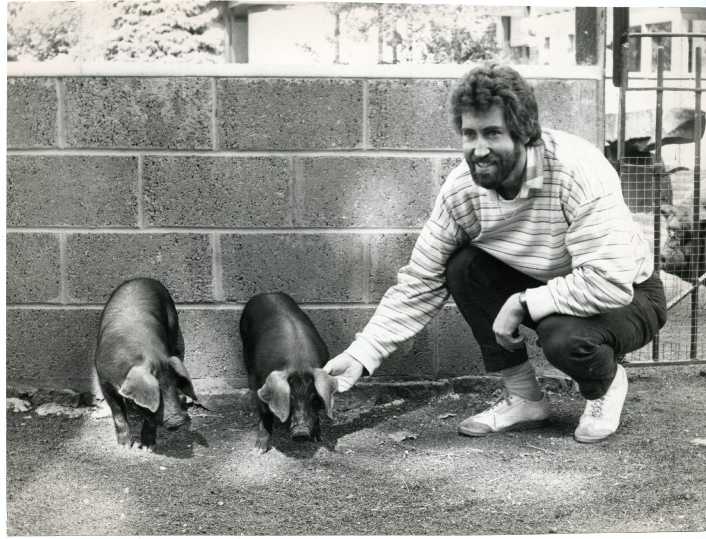 Camperdown Wildlife Centre: Images of Dundee zoo through years