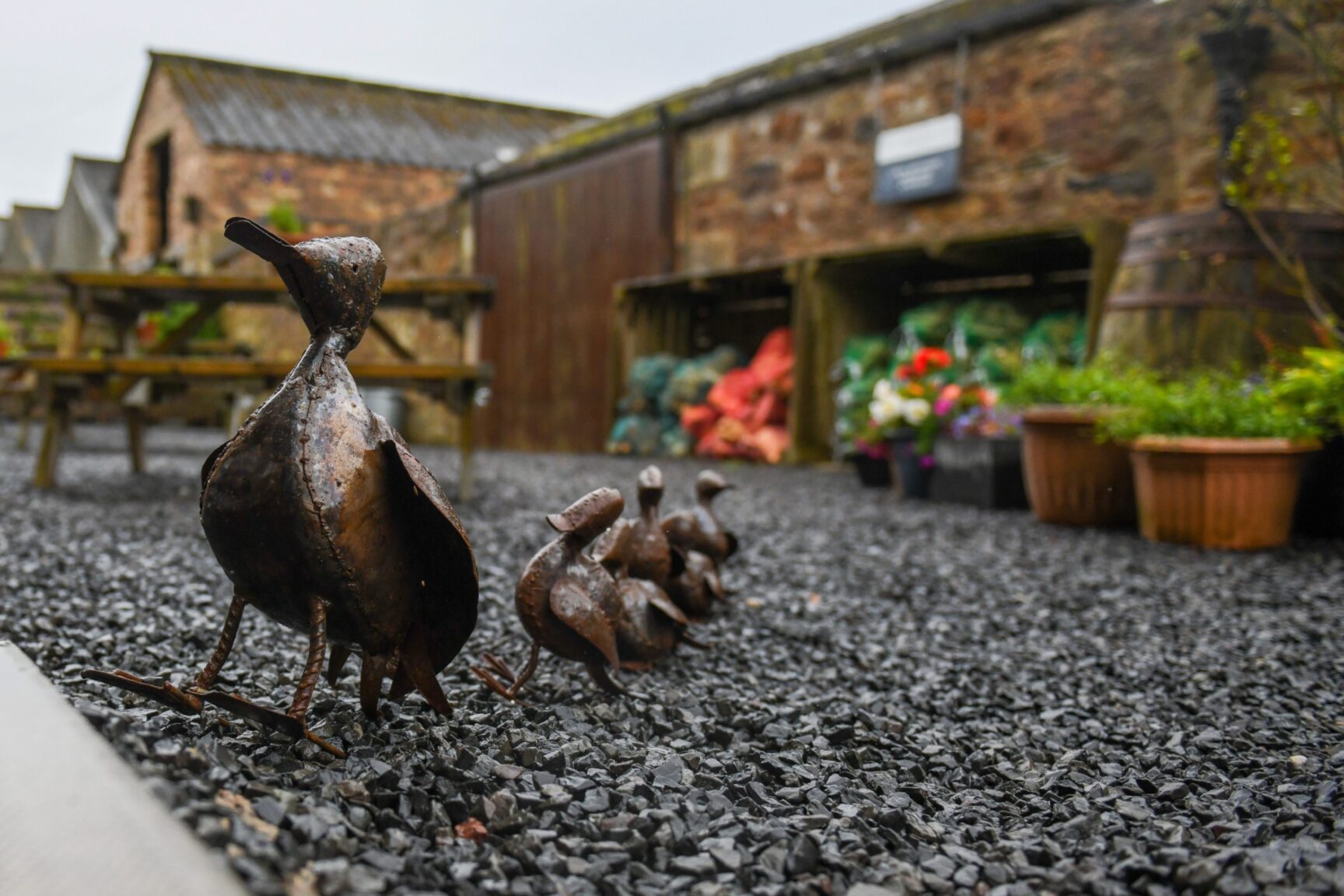 Meet the mum and three sisters making Ardross Farm thrive