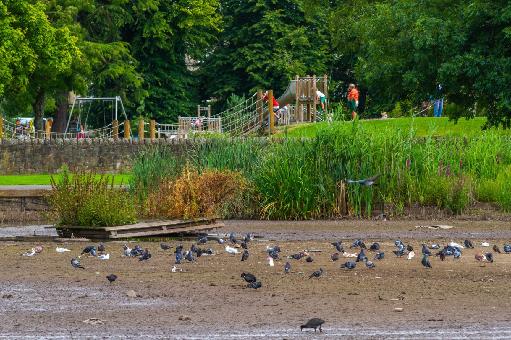 South Inch pond runs dry, as locals urge council to act