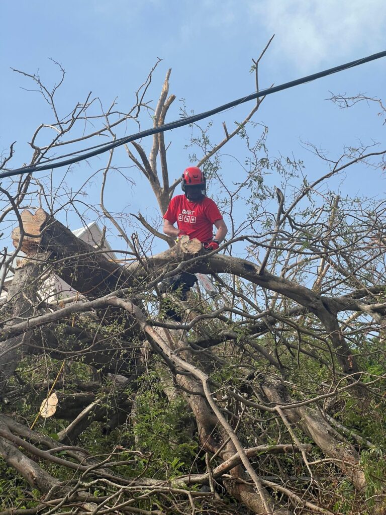 Angus volunteer hero Owen at heart of Hurricane Beryl clear-up