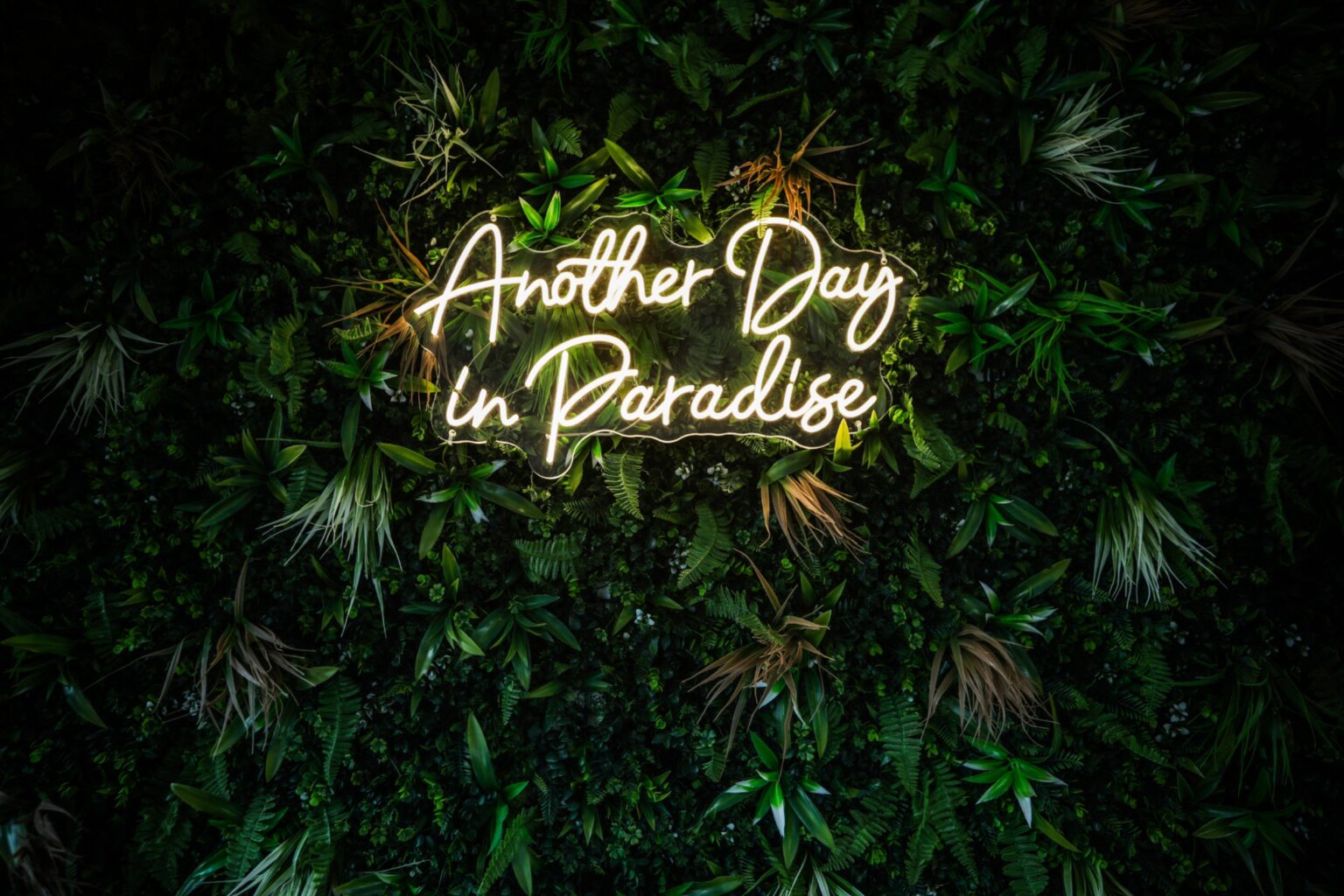 Salty's: First look at new Montrose restaurant