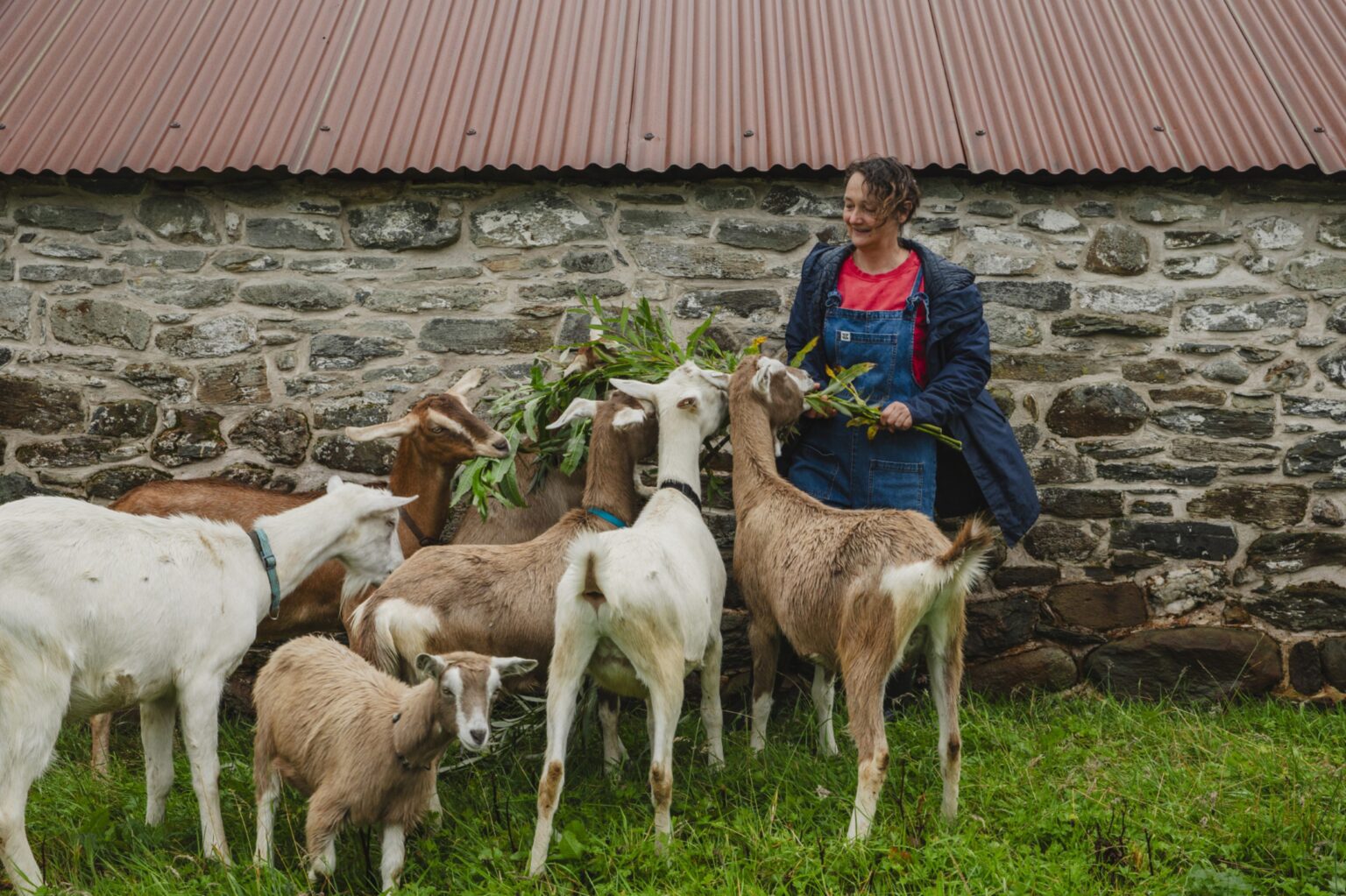 Achray Farm: Scotland's only goat milk ice cream made in the Trossachs