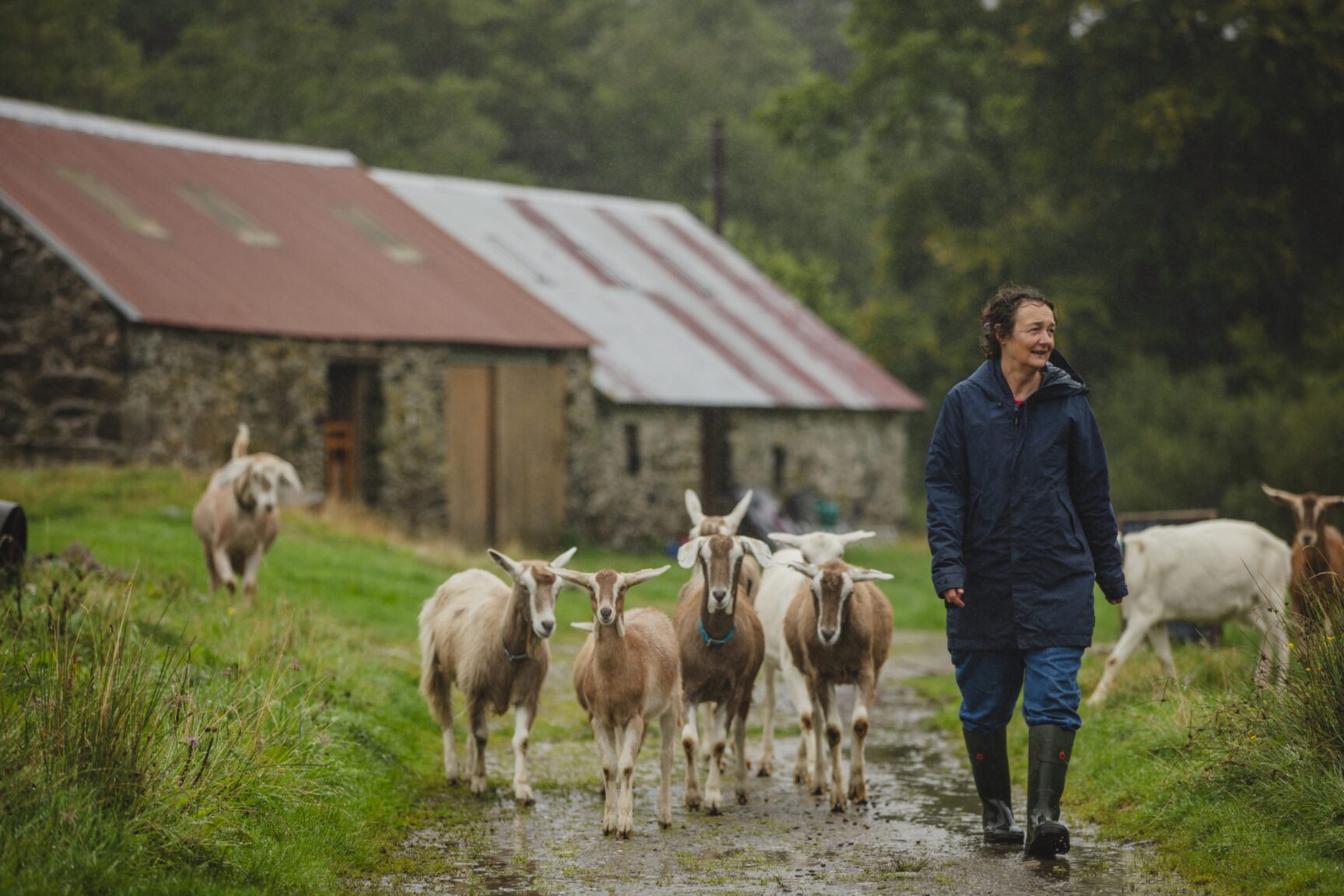 Achray Farm: Scotland's only goat milk ice cream made in the Trossachs