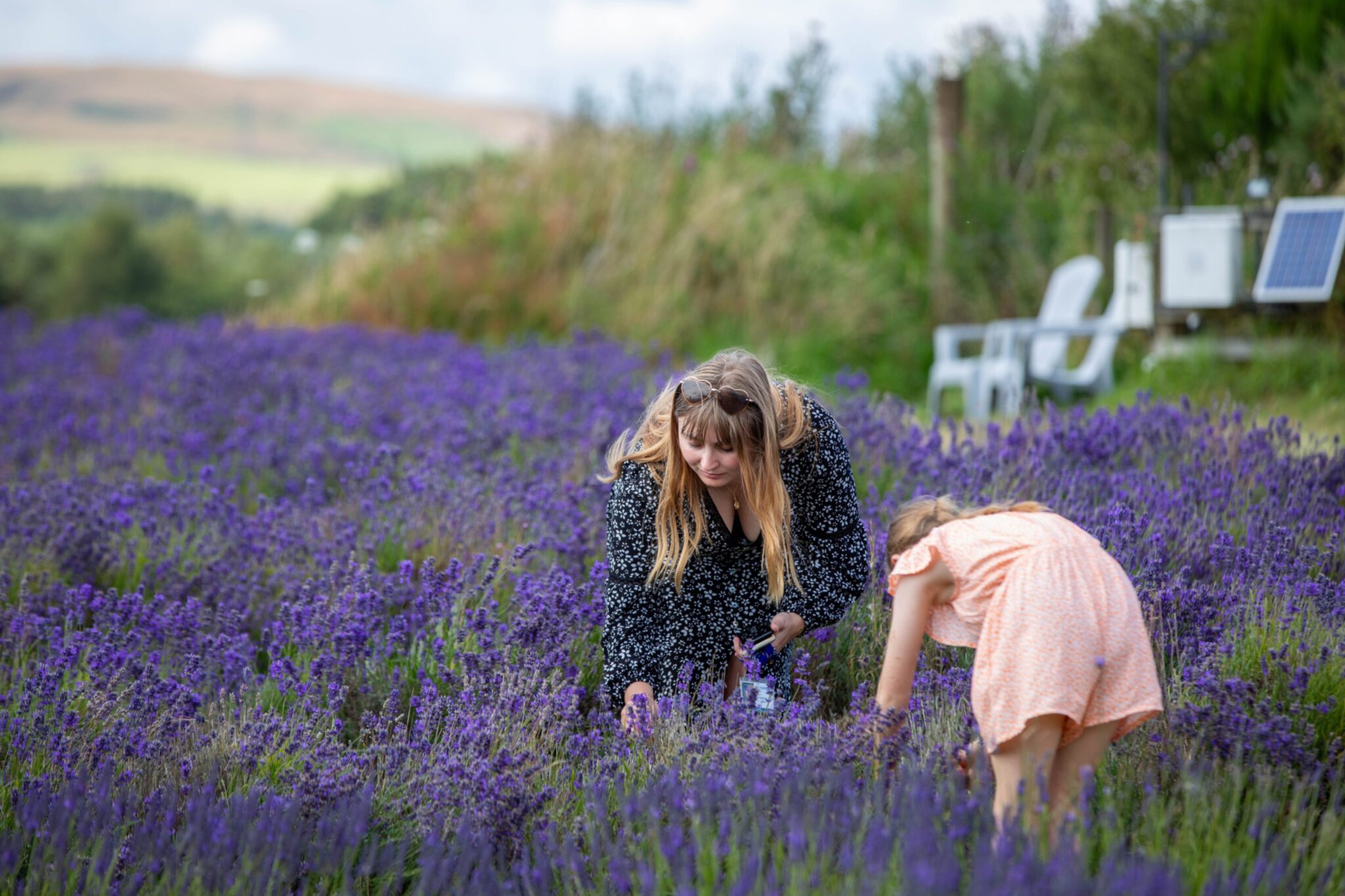 What did I think of the Scottish Lavender Oils tour in Kinross? - The Courier