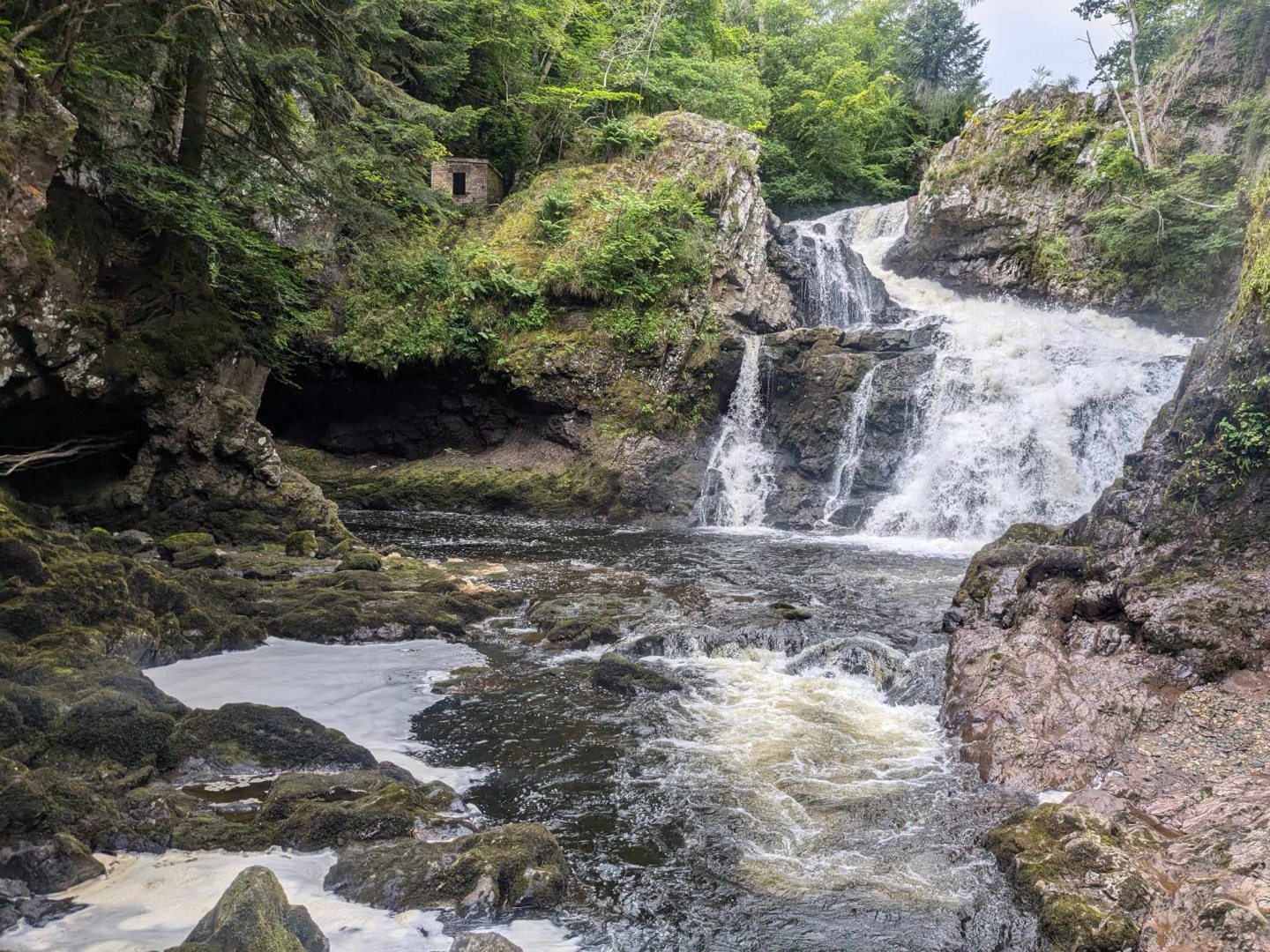 Reekie Linn: Discovering magical falls in Angus on hidden paths