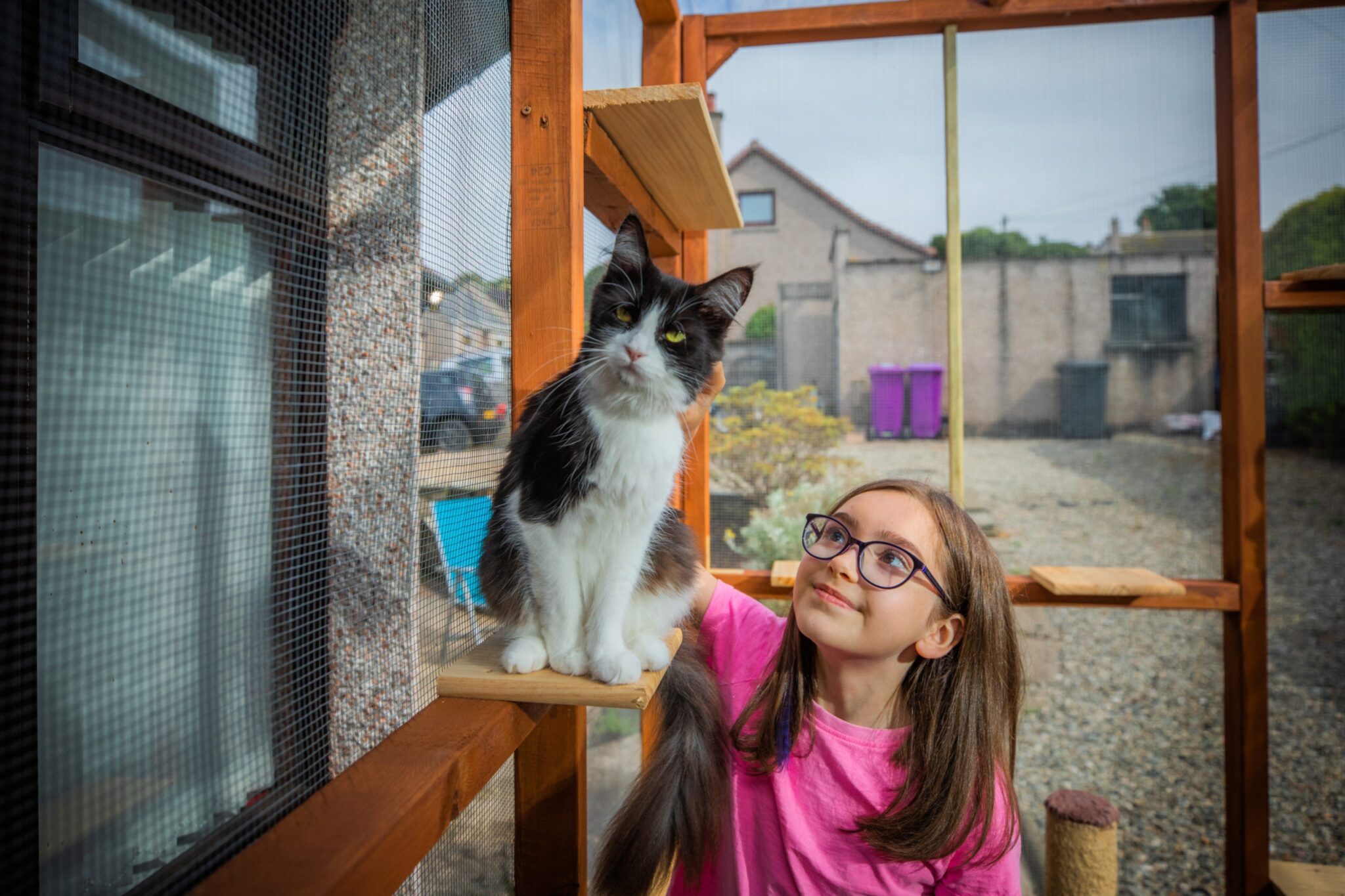 Forfar mum Lovisa: Life with 6 Maine Coons is like herding cats