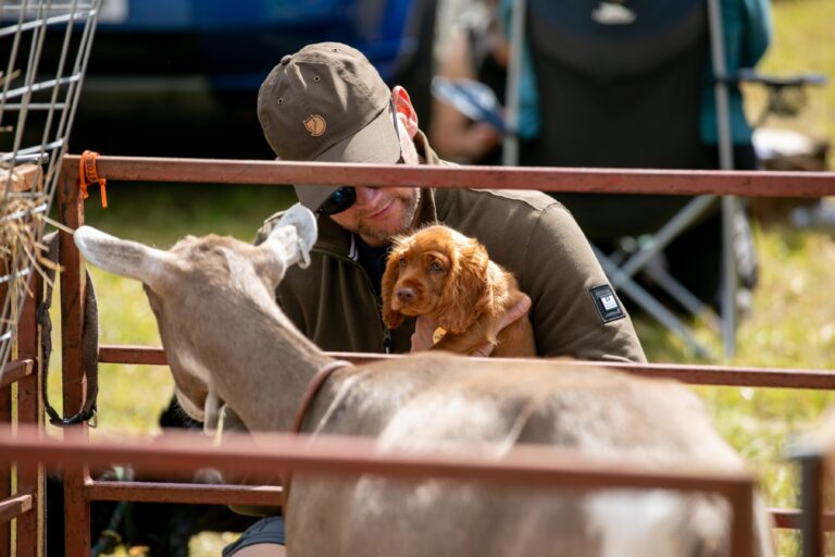Kinross Show: Best photos from the day