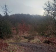 12 Stunning Walks Near Stirling to Explore Year-Round